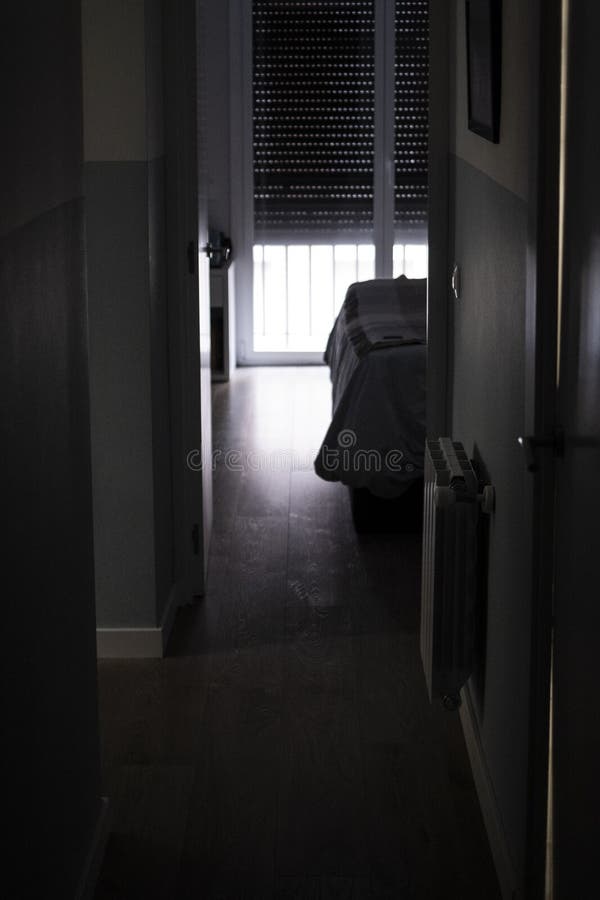 Dark Interior House Corridor with a Bed in a Bedroom with Hardwood ...