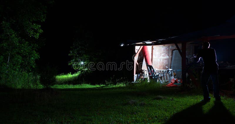 Dark intruder stock photo. Image of trees, carpet, light - 32347554