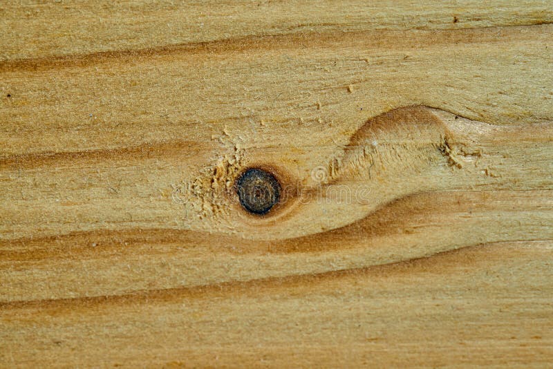 Dark Knothole in a Light Grained Wood Panel, Close Up, Texture ...