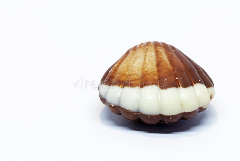 Dark Seashell stock photo. Image of shells, spots, pastel - 18260266