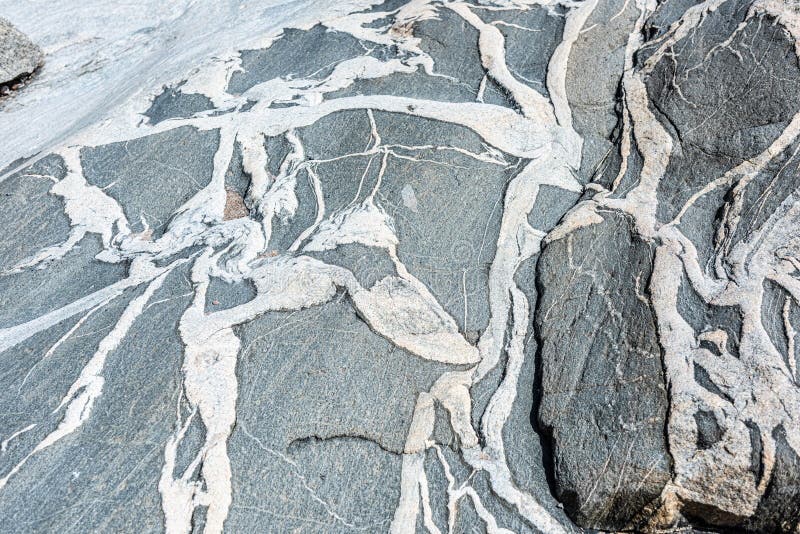 Dark and Light Grey Migmatite Rock Sanded Down by the Sea.. Stock Photo ...
