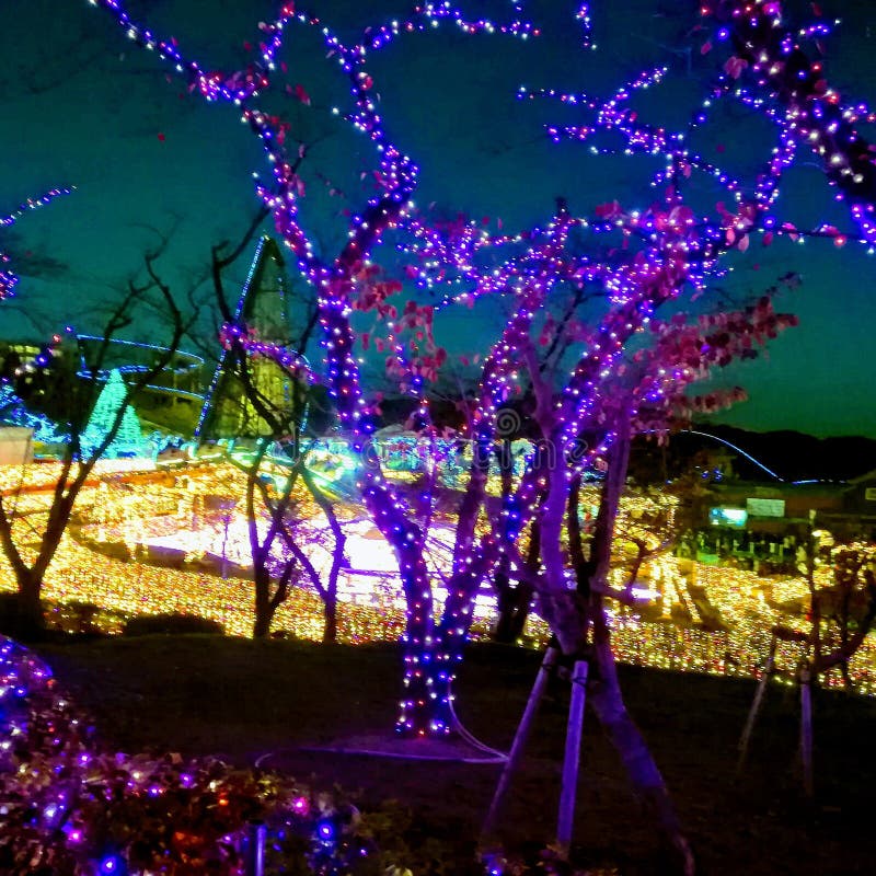 Illumination stock photo. Image of light, violet, night - 105685094