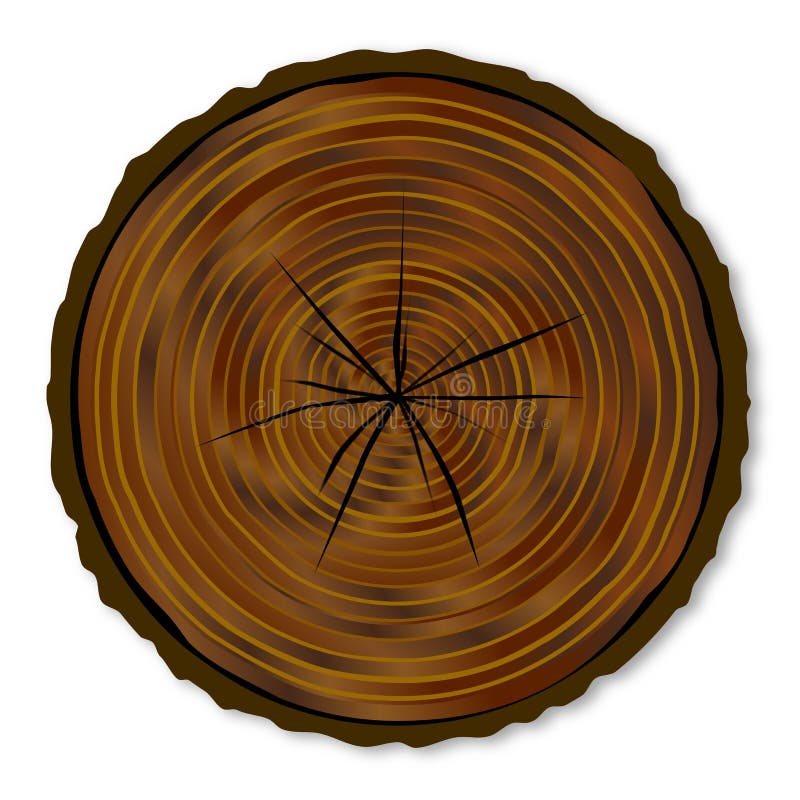 Log End Grain 2 Stock Illustrations – 164 Log End Grain 2 Stock ...