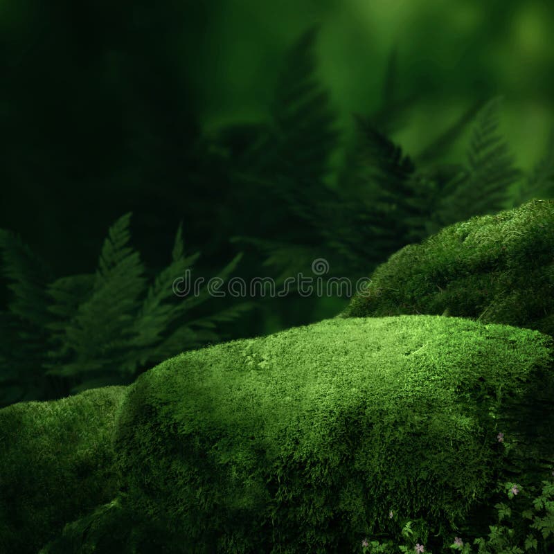 Dark magic forest stock image. Image of magic, copy, darkness - 70540097