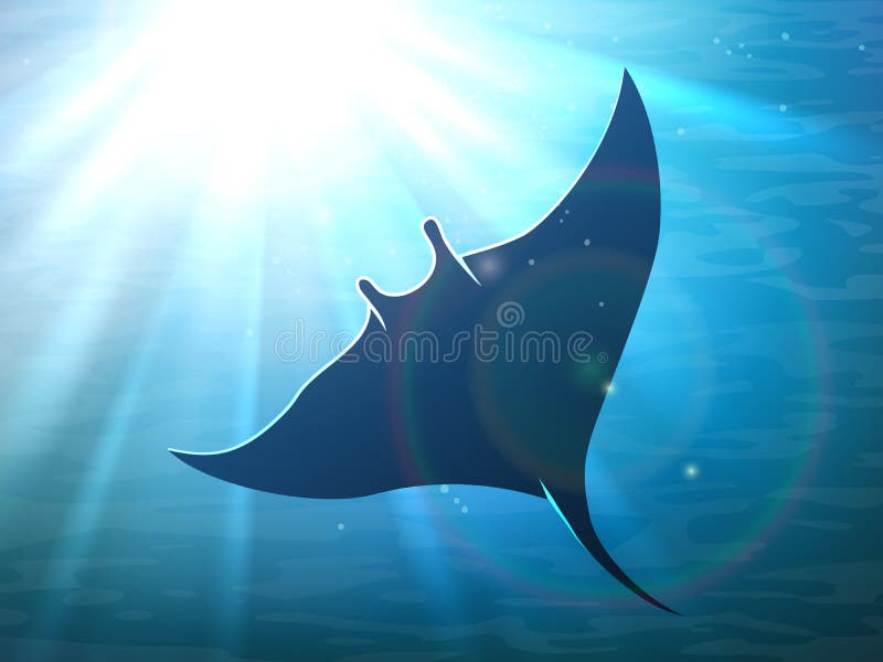 Manta Stock Illustrations – 7,174 Manta Stock Illustrations, Vectors ...