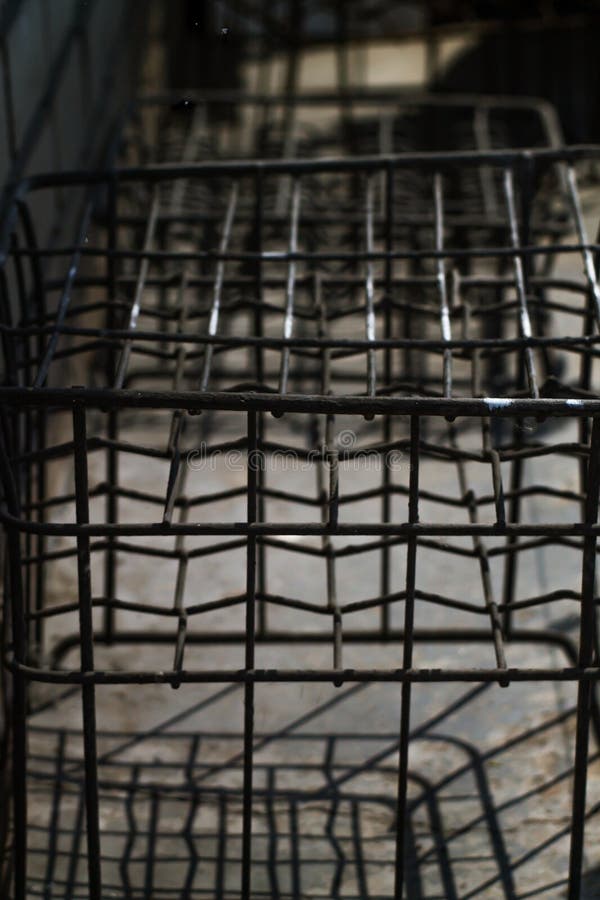 An Intricate Close-up Reveals the Precise Geometric Patterns of a Dark ...