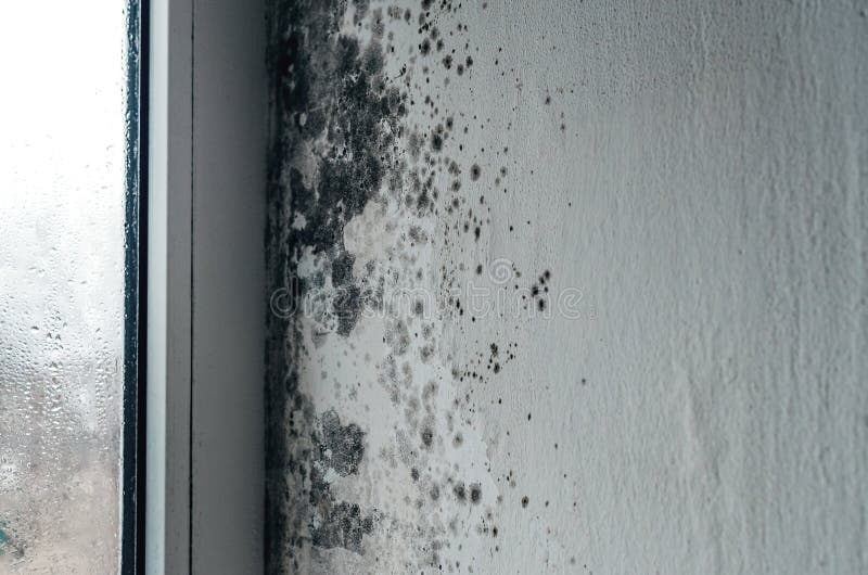 Dark Mold Growth on Wet Wall by Window Frame in Home Interior Stock ...