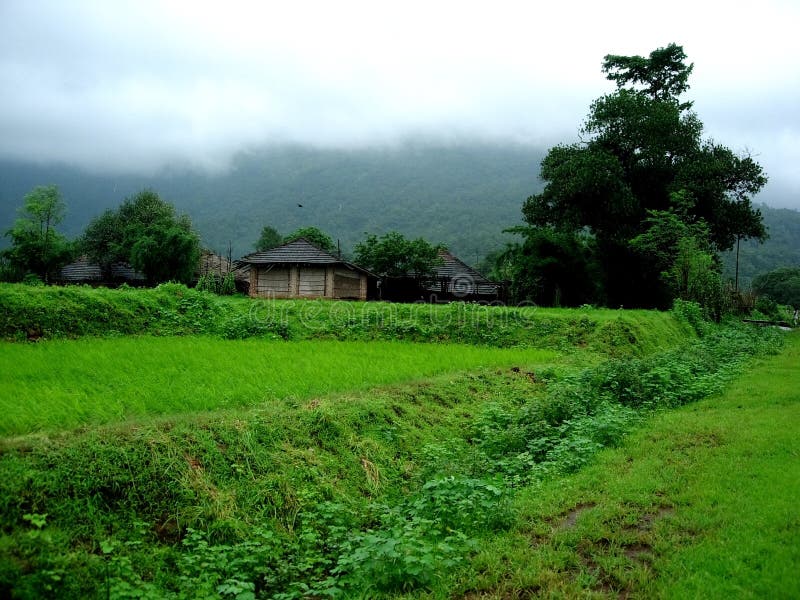 Dark monsoon landscape stock photo. Image of trees, house - 10004302