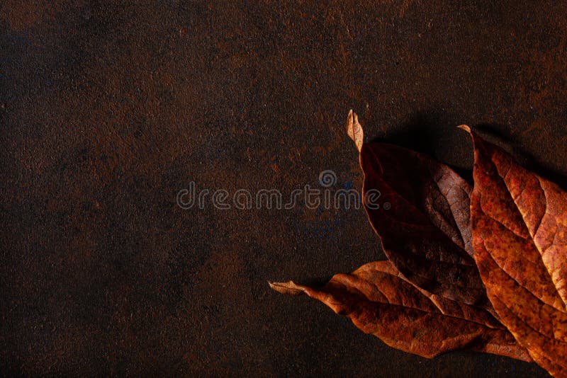 Dark Moody Faded Brown Autumn Leaf Background, Fall Decay Stock Photo ...