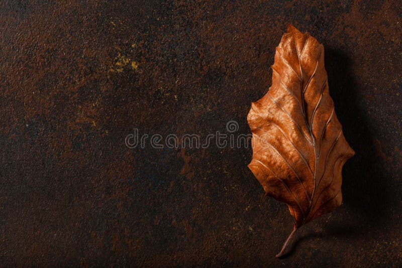 Dark Moody Faded Brown Autumn Leaf Background, Fall Decay Stock Image ...