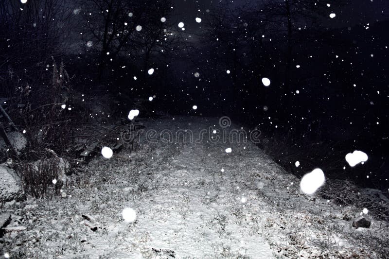 Scary path in a forest stock photo. Image of black, magic - 26544402