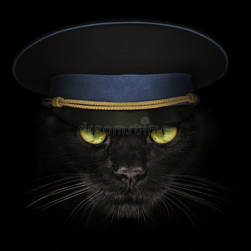 Dark Muzzle Black Cat in a Military Cap Close-up Stock Image - Image of ...