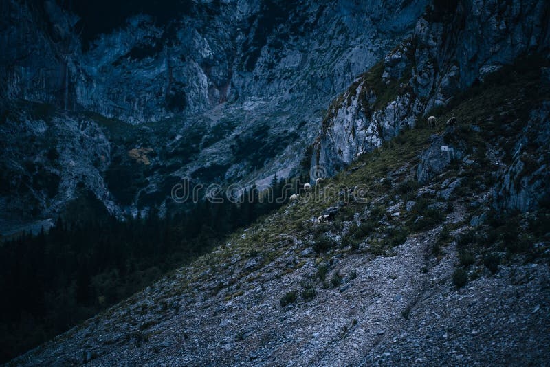 Dark Mysterious Landscape in the Mountains in the Evening Stock Photo ...
