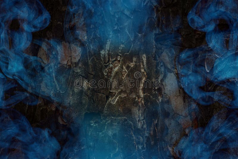 Dark and Mysterious Texture of a Pine Tree with a Bright Middle and ...