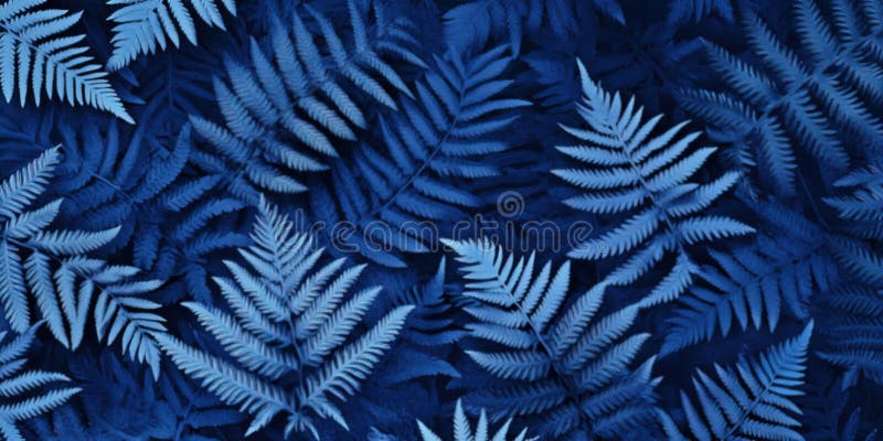 Dark Navy Blue Fern Leaves Background Stock Illustration - Illustration ...