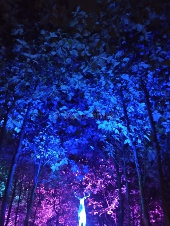 Dark Night Color Beautyfull Stock Photo - Image of night, beau: 387549956