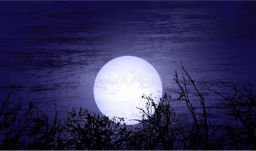 Oak Moon Stock Illustrations – 1,066 Oak Moon Stock Illustrations ...