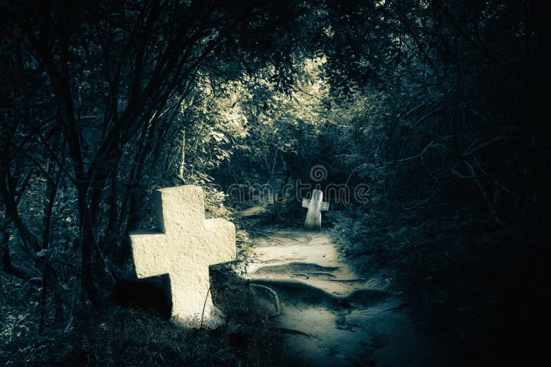 Horror Abandoned Pathway Stock Photos - Free & Royalty-Free Stock ...