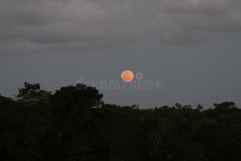 Dark Night, Orange Moon Picture Stock Image - Image of dark, little ...