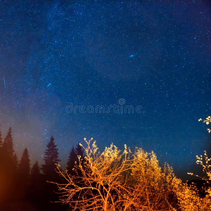 Dark Night Sky Above Autumn Forest Stock Image - Image of blue ...