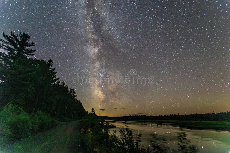 Dark Night Sky Filled with Countless Stars and Silhouetted Trees in the ...