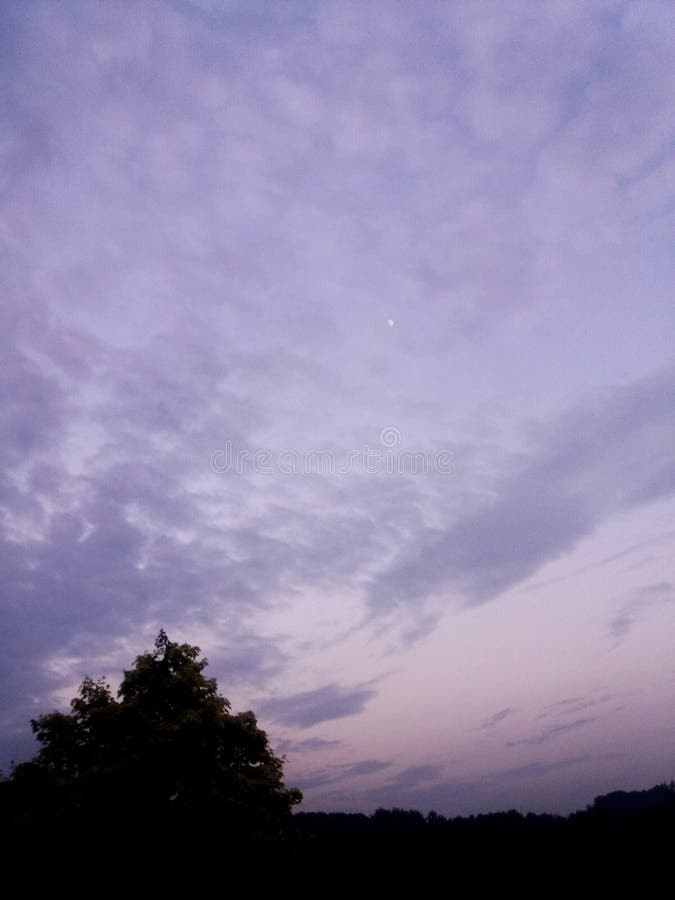 Dark stock image. Image of nightfall, countryside, trees - 118533419