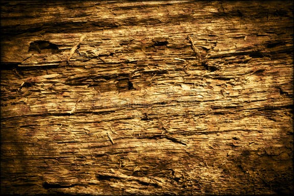 56,604 Wood Decay Stock Photos - Free & Royalty-Free Stock Photos from ...