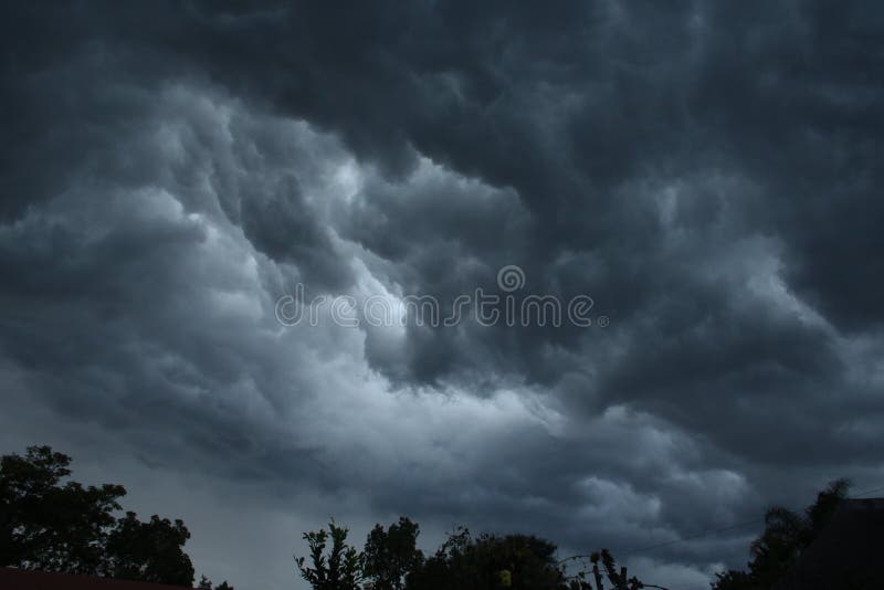 Storm clouds above trees stock image. Image of gathering - 104692405