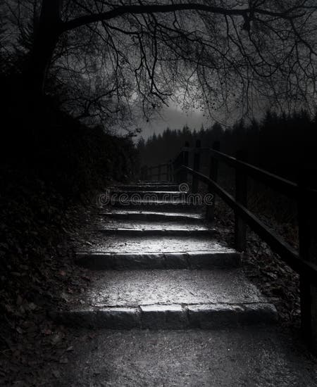 The dark path stock image. Image of forest, monochrome - 24486947