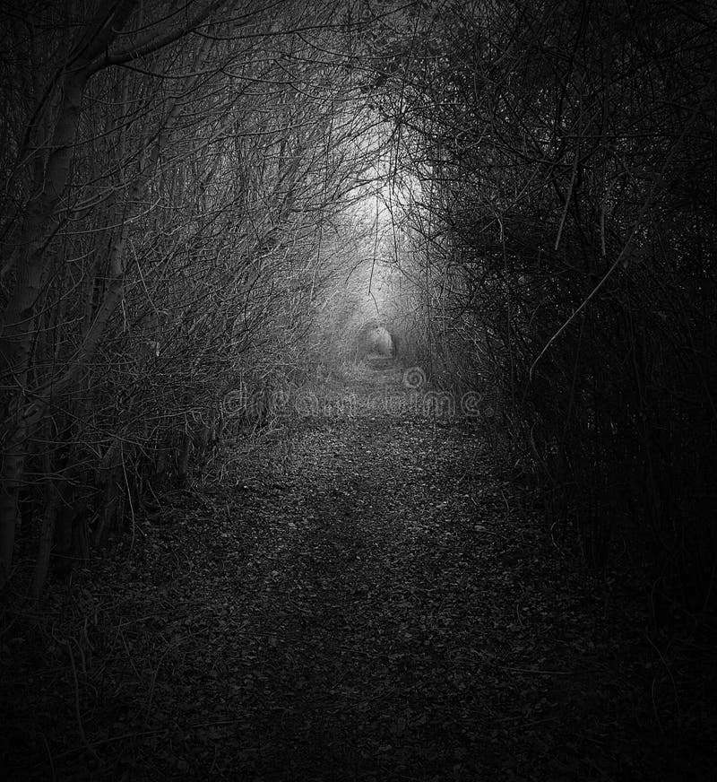 An Eerie Path on a Spooky Foggy Winters Day in the Countryside. with a ...