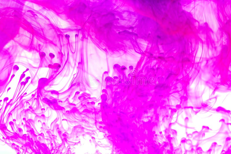 Pink Paint Dissolving in Water with White Background Stock Photo ...