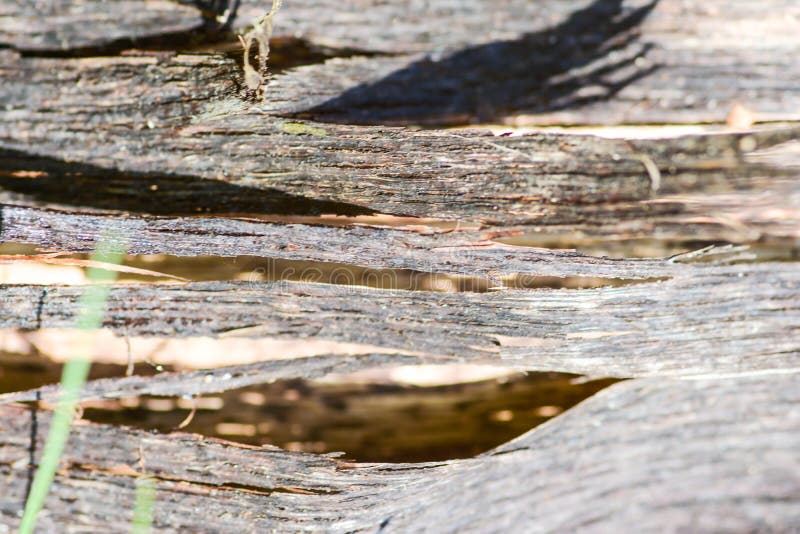 Dark Planks Wood, Differents Patterns and Cracks. Stock Image - Image ...