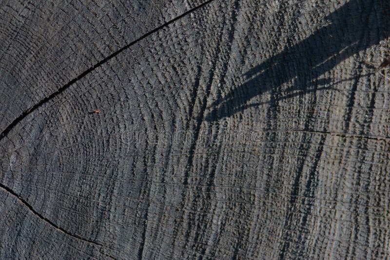 Dark Planks Wood, Differents Patterns and Cracks. Stock Image - Image ...