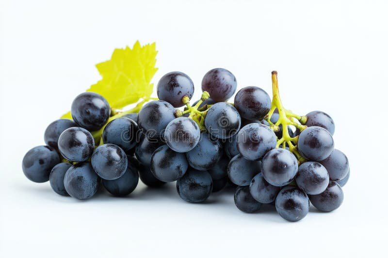 Dark Purple Grapes in a Circular Pattern on Isolated Transparent ...