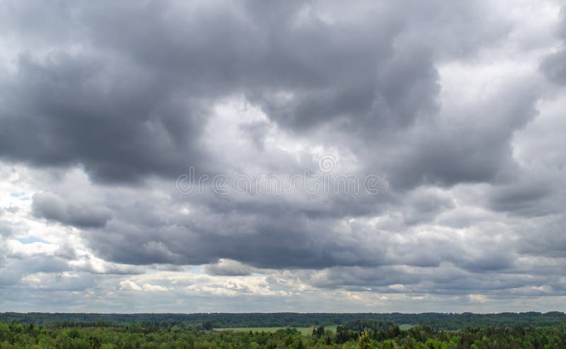 Dark Rainy Clouds and Pine Forest. Top View Stock Photo - Image of ...