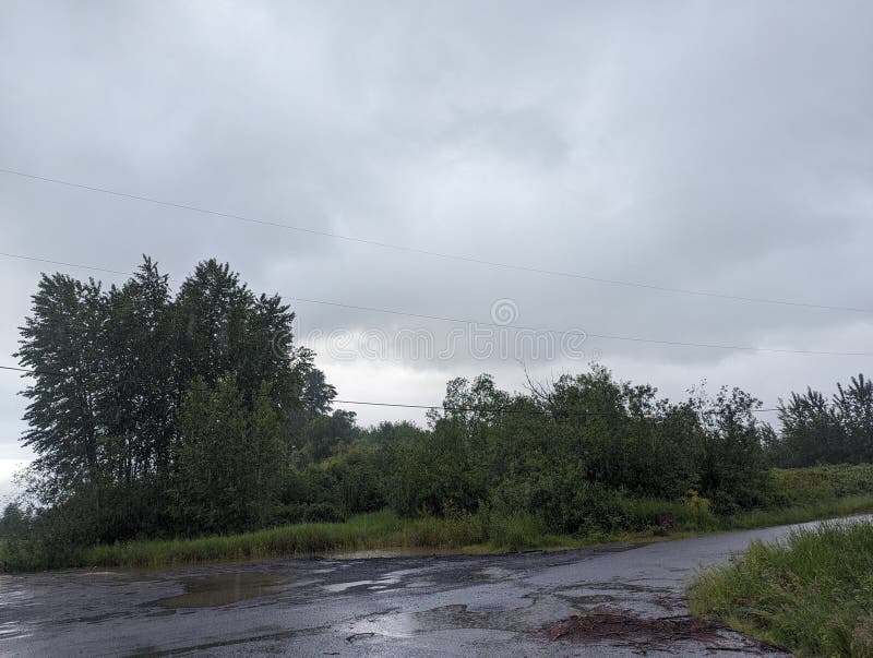 Dark Rainy Day in Washington State Stock Image - Image of staye, trees ...
