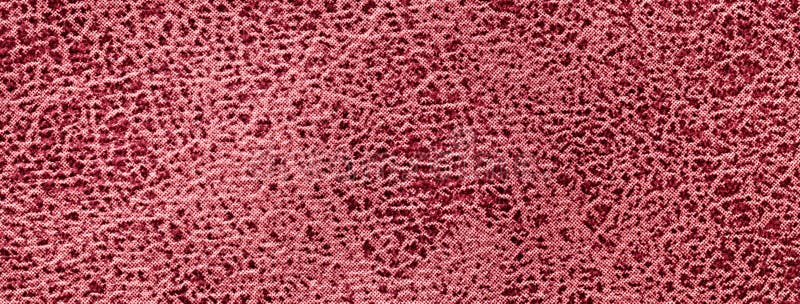 Dark Red Background Fabric with Wavy Pattern, Closeup. Velvet Texture ...