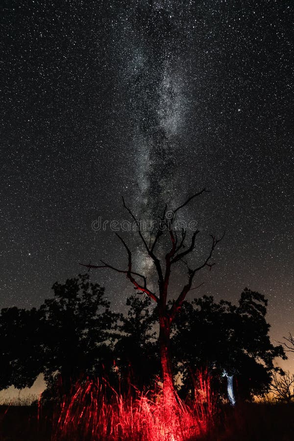 Dead Red Tree Under the Milky Way Stock Photo - Image of dream, mystery ...