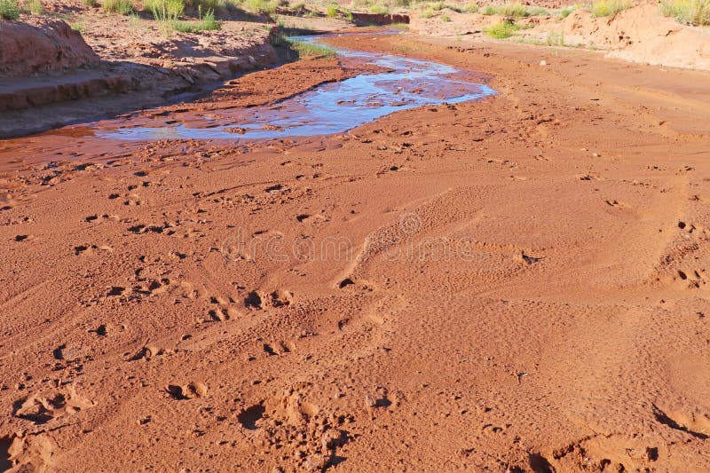 Dark Red Earth after Rain, Sand Texture. Stock Image - Image of water ...