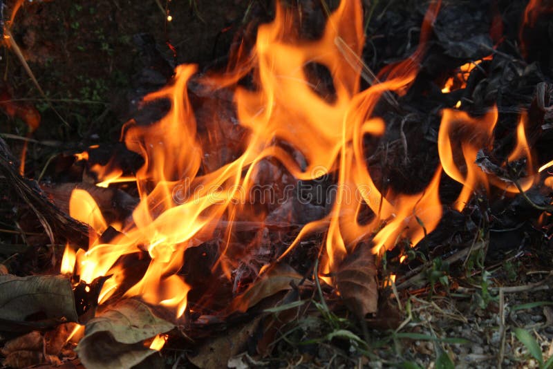 Dark Red Fire Zone Old Dry Leaves Stock Image - Image of candle, drfire ...