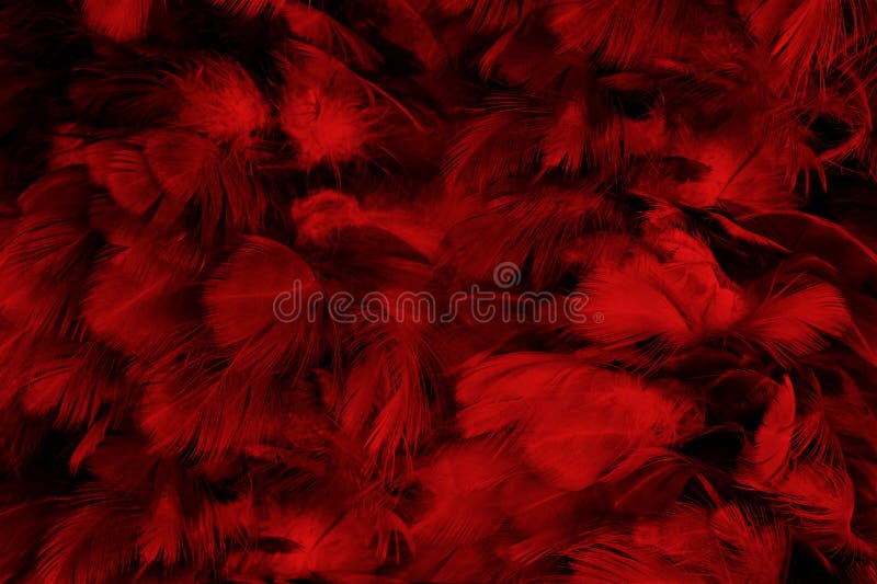 Distressed Horror Font Stock Photos - Free & Royalty-Free Stock Photos ...