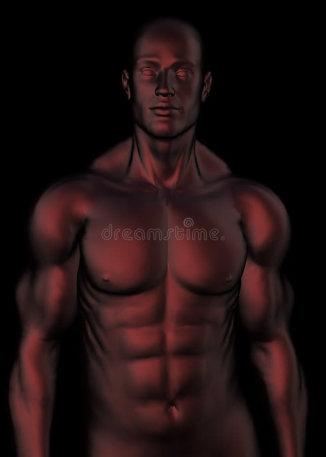 Dark red male torso stock illustration. Illustration of muscular - 3620238
