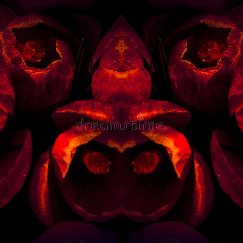 Deep Red Rose Petals Abstract Art Background Stock Illustration ...