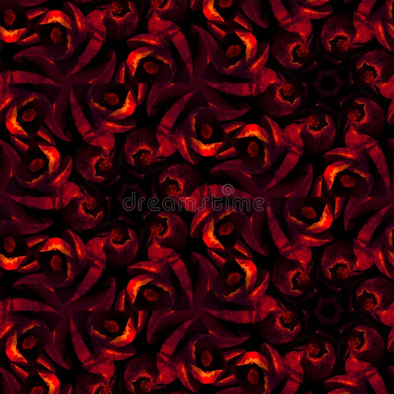 82+ Matter red Free Stock Photos - StockFreeImages