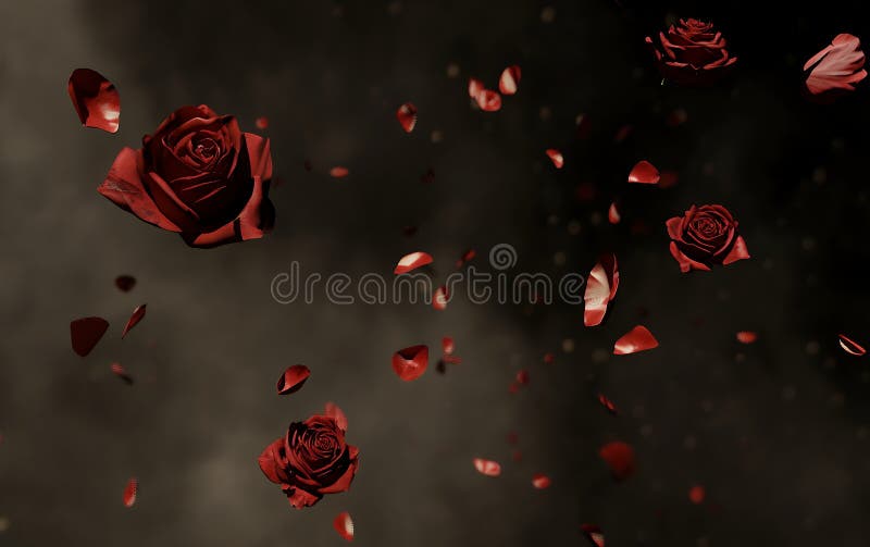 Dark Red Roses Falling Petals Elegant Romantic Background Art Flow Soft ...