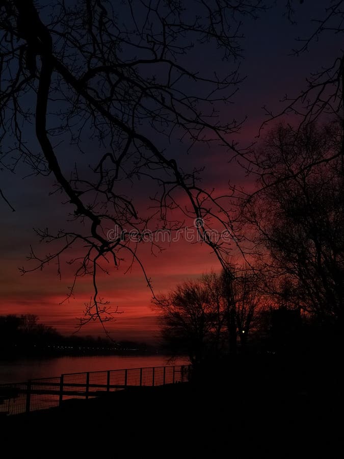 Dark red sunset with trees stock image. Image of dark - 180206509