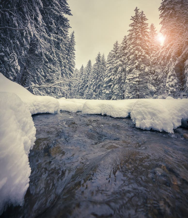 Dark River in the Winter Mountain Forest at Sunset. Stock Image - Image ...
