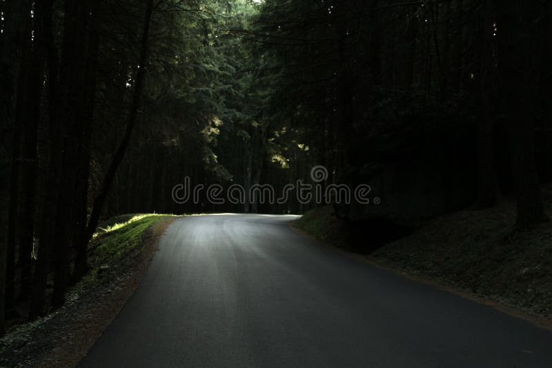 Dark Road in a Forest at Night Stock Photo - Image of night, dark ...