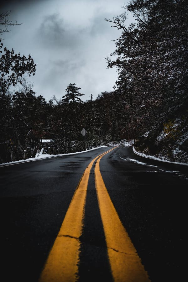 Dark Road Illuminated by a Street Light with Two Yellow Lines. Stock ...
