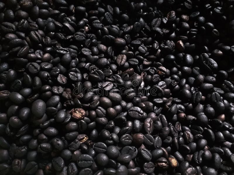 Dark Roasted Pure Robusta Coffee Beans Stock Photo - Image of coffee ...